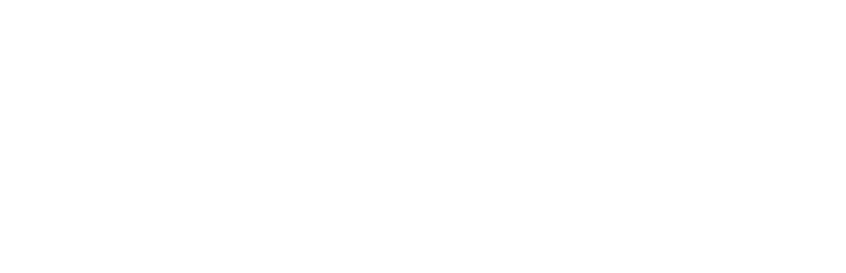 EVIS Official | The Best Ergonomic Office Chairs & Standing Desk in ...