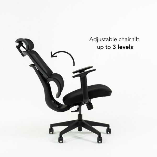 ErgoFlow Ergonomic Chair | EVIS Official