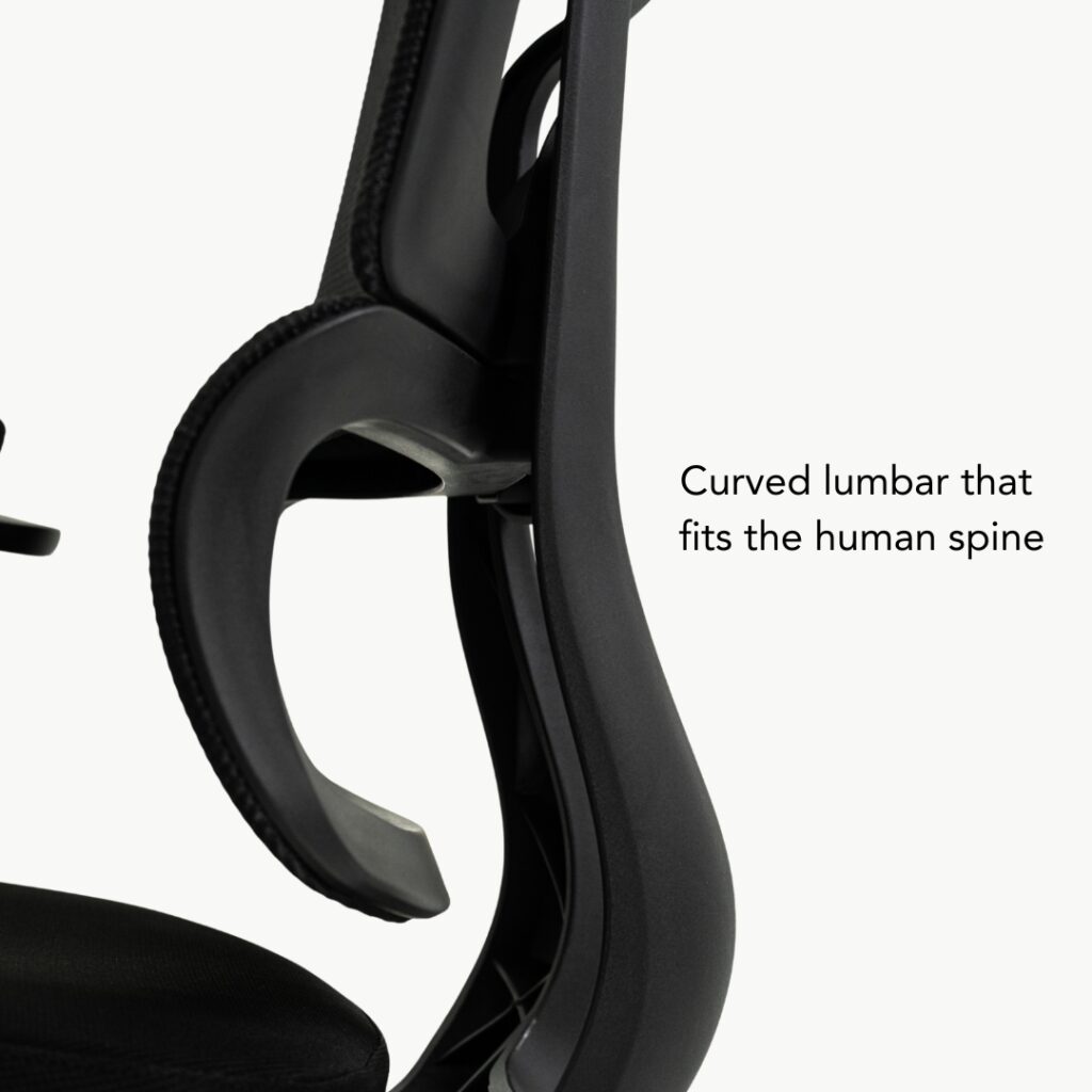 ErgoFlow Ergonomic Chair | EVIS Official